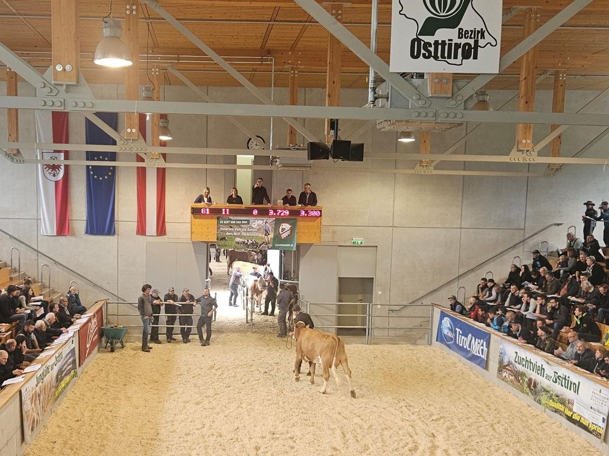 Start ins neue Versteigerungsjahr 2026 – Osttiroler Bote